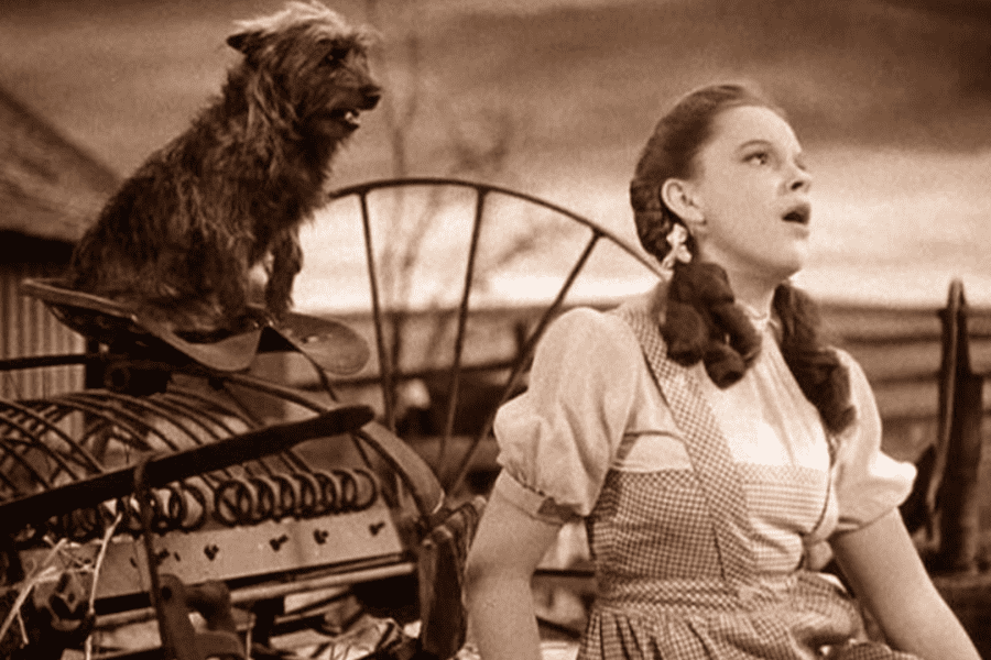 The Most Famous Dogs in History – Peak City Puppy